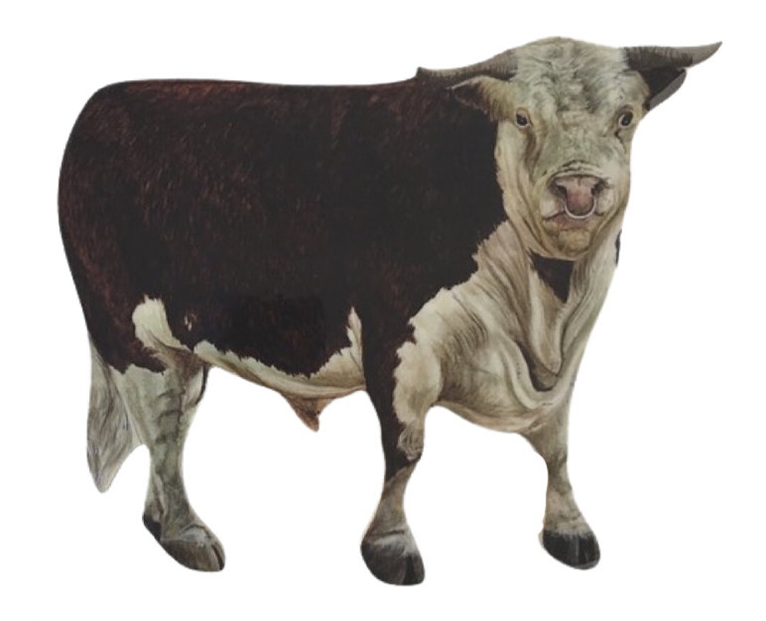 Angus Bull Cake Topper - Angus Bull Cake Decoration - Cow Cake Topper ...