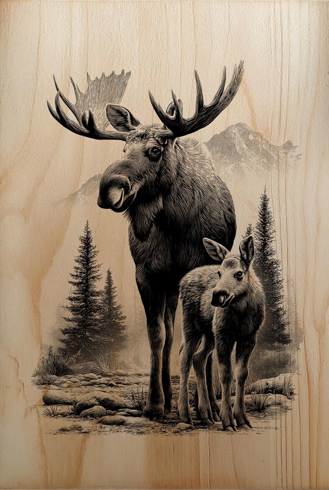 Bull Moose & Calf Engraving PNG | Forest Family Laser File | Detailed ...