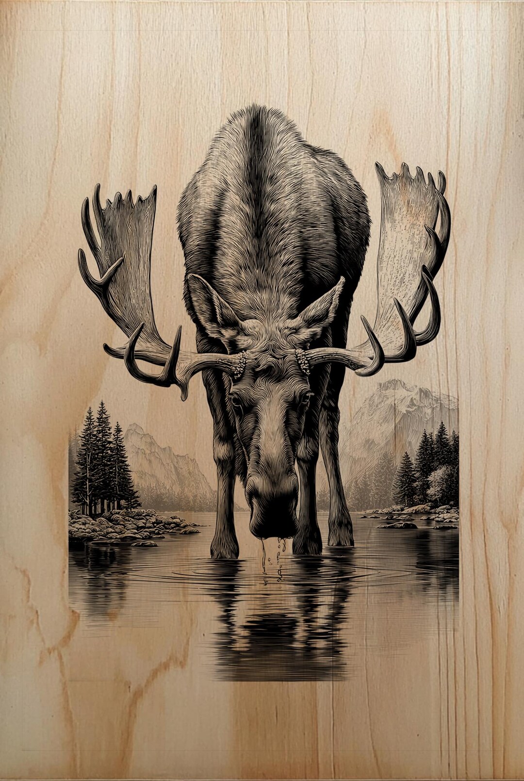 Reflecting Moose Engraving PNG | Bull Moose Drinking Laser Art ...