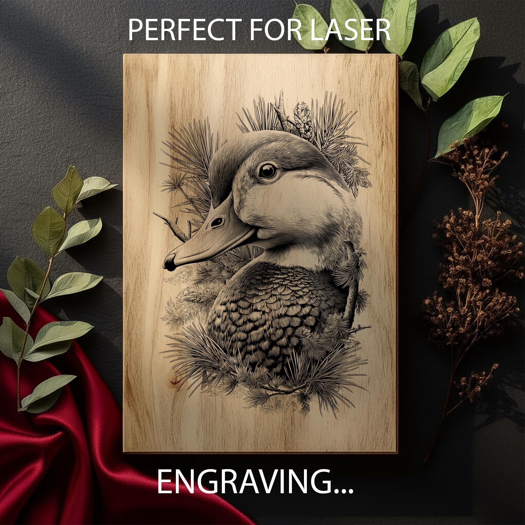 Wood Duck Portrait Engraving PNG | Waterfowl Laser File | Duck Hunting ...
