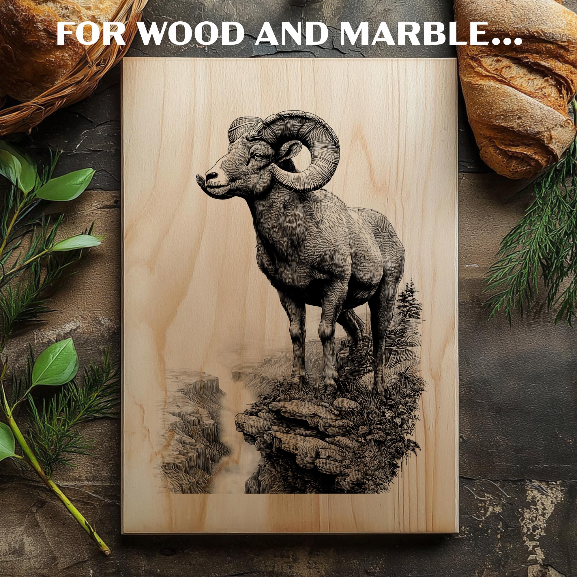 Majestic Ram Engraving PNG | Bighorn Sheep Canyon Laser Art | Mountain ...