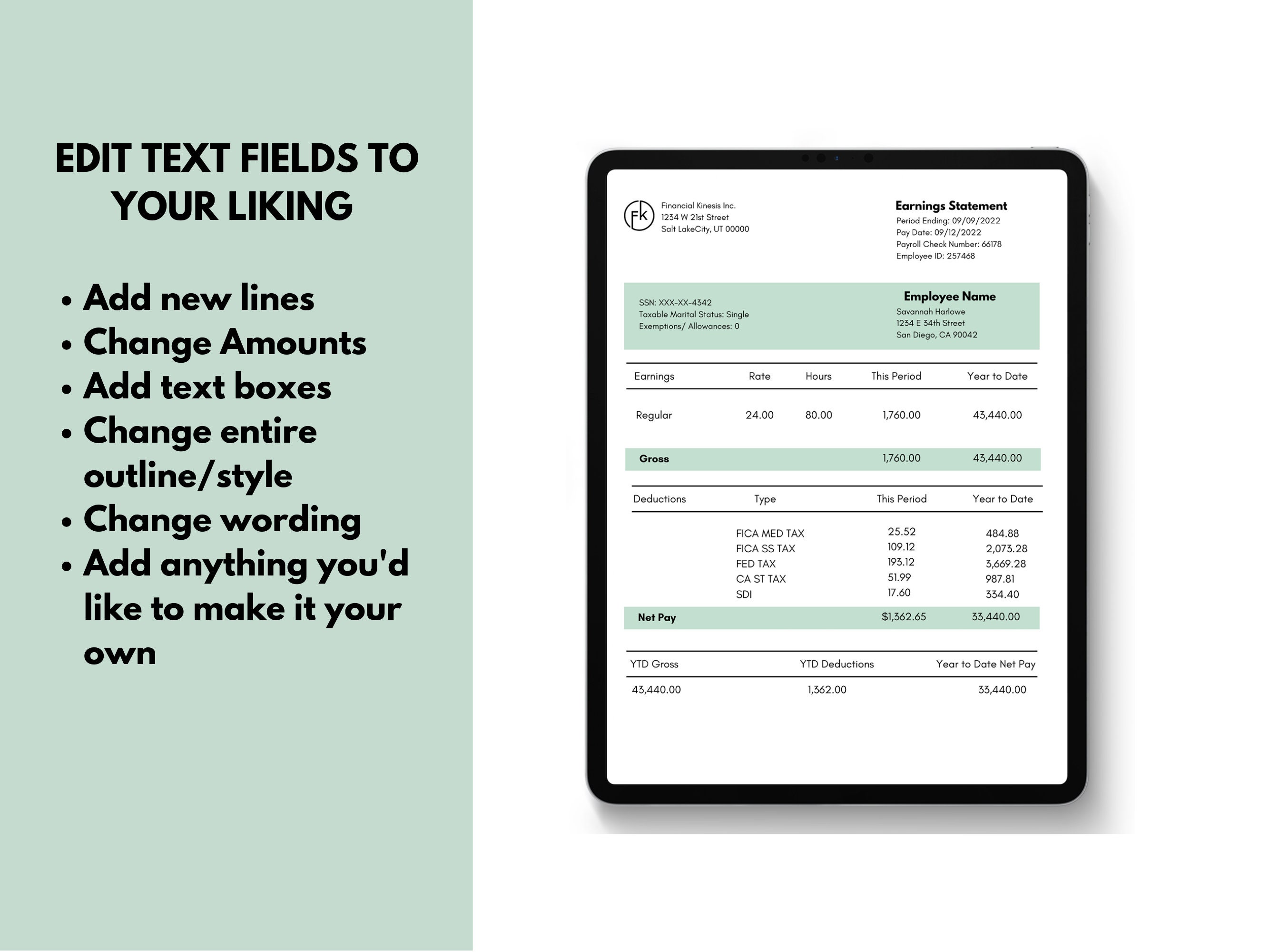 Editable Employee Pay Stub Template: Payroll Check, Earnings Statement ...
