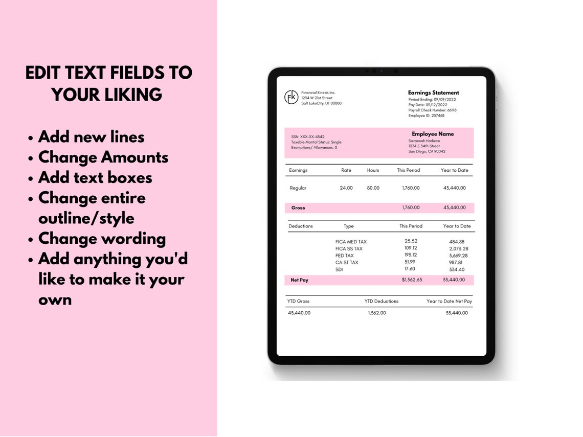 Editable Employee Pay Stub Template: Payroll Earnings Statement ...