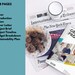 Editable Grant Proposal Template: Colorful Canva Design (digital ...