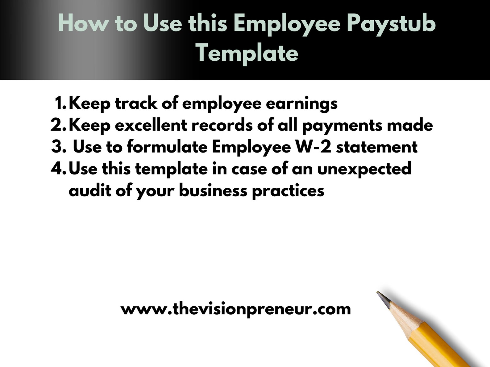 Employee Pay Stub, Pay Stub Template, Editable Pay Stub, Payroll Check ...