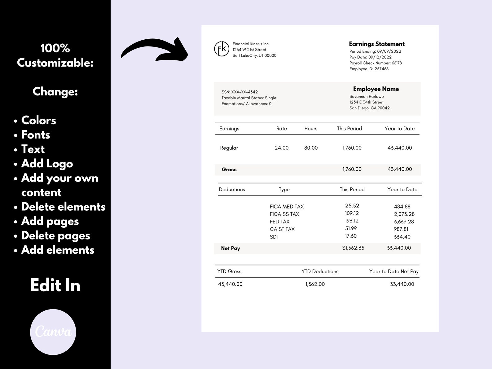 Editable Employee Pay Stub Template: Payroll Check, Earnings Statement ...