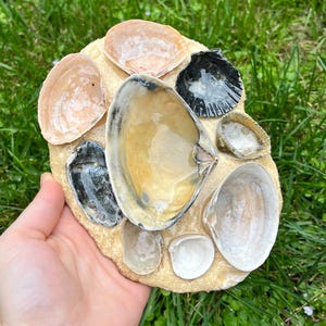 EXTRA LARGE Waterproof Seashell Paint Palette Handcrafted Ocean ...