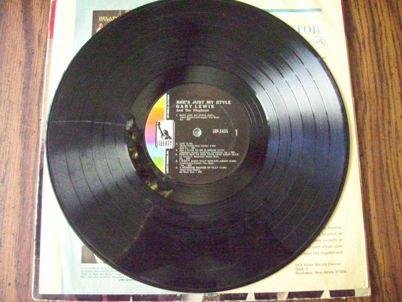 Gary Lewis & the Playboys - She's Just My Style Vinyl - Etsy
