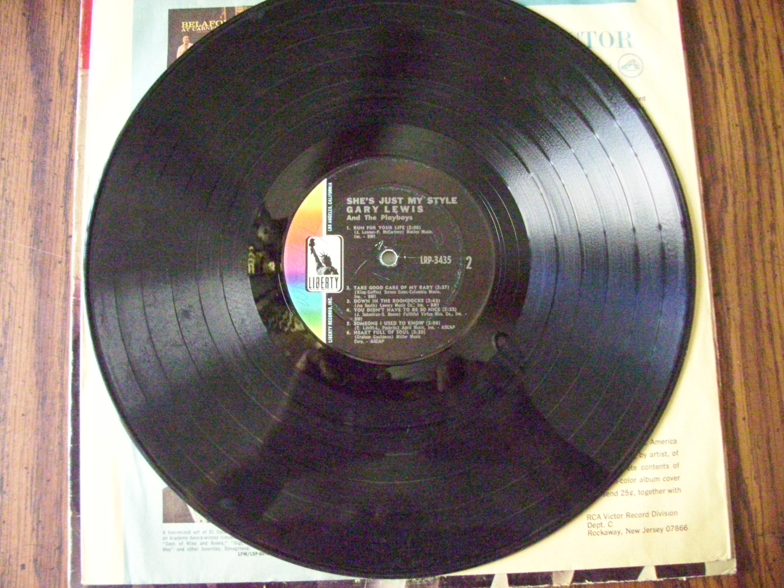 Gary Lewis & the Playboys - She's Just My Style Vinyl - Etsy