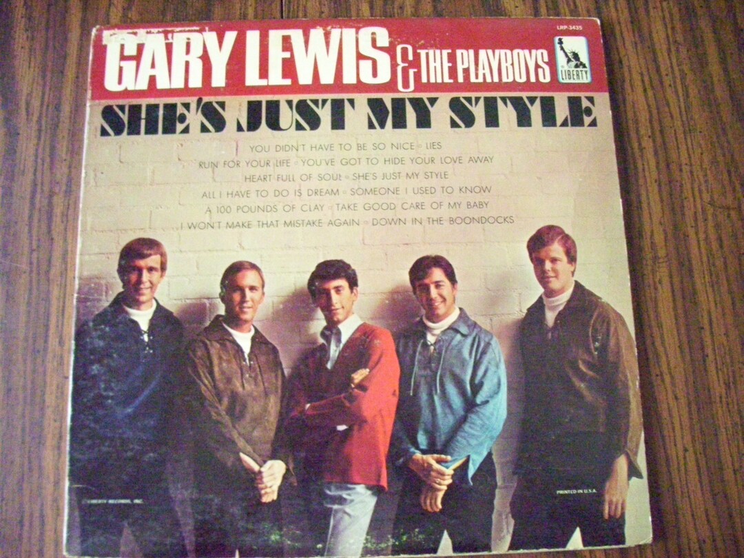 Gary Lewis & the Playboys - She's Just My Style Vinyl - Etsy