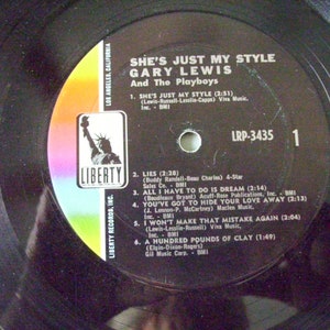 Gary Lewis & the Playboys - She's Just My Style Vinyl - Etsy