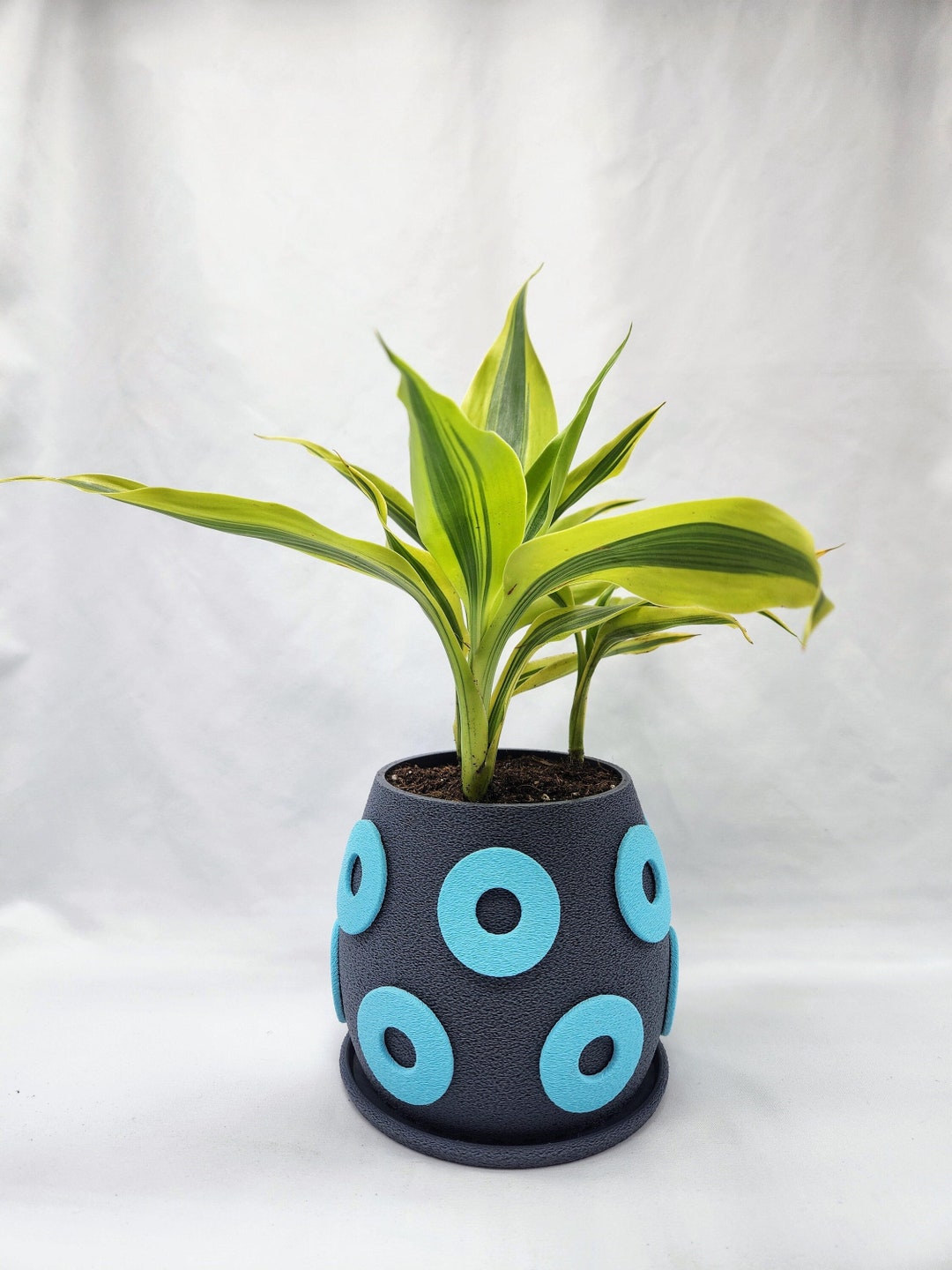 Phish Teal Donut Handmade Planter, Flower Pot - 5" X 5" | Eco-friendly ...