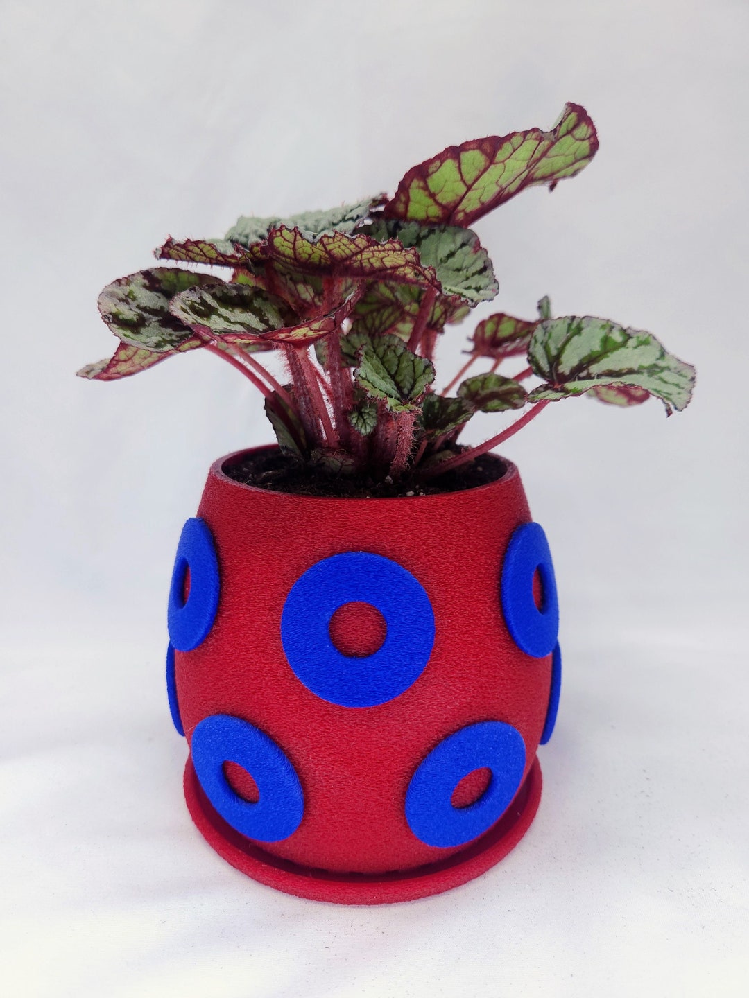 Phish Inverted Donut Handmade Planter, Flower Pot - 5" X 5" | Eco ...