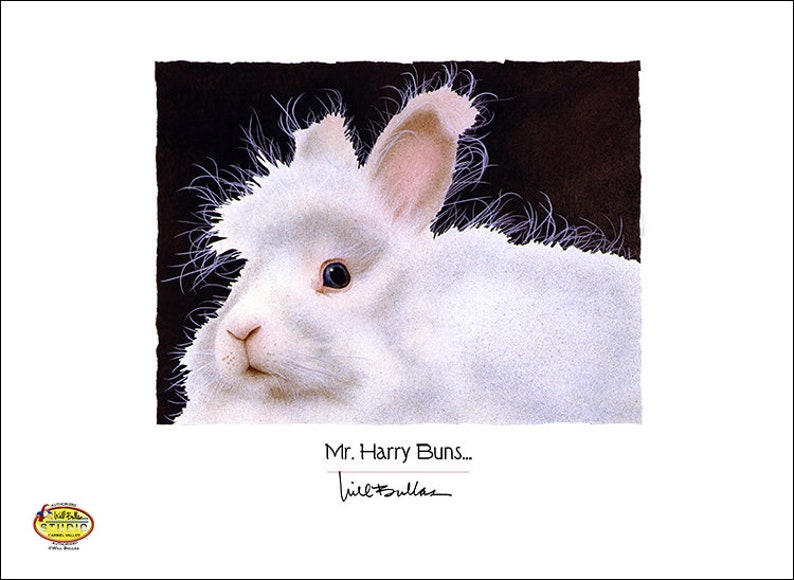 Will Bullas / Art Print / Mr. Harry Buns... / Humor / Animals - Etsy