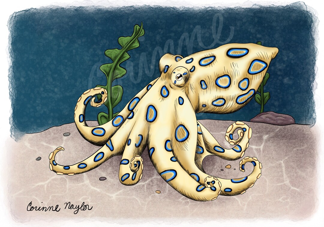 Blue Ringed Octopus Downloadable Print - Etsy