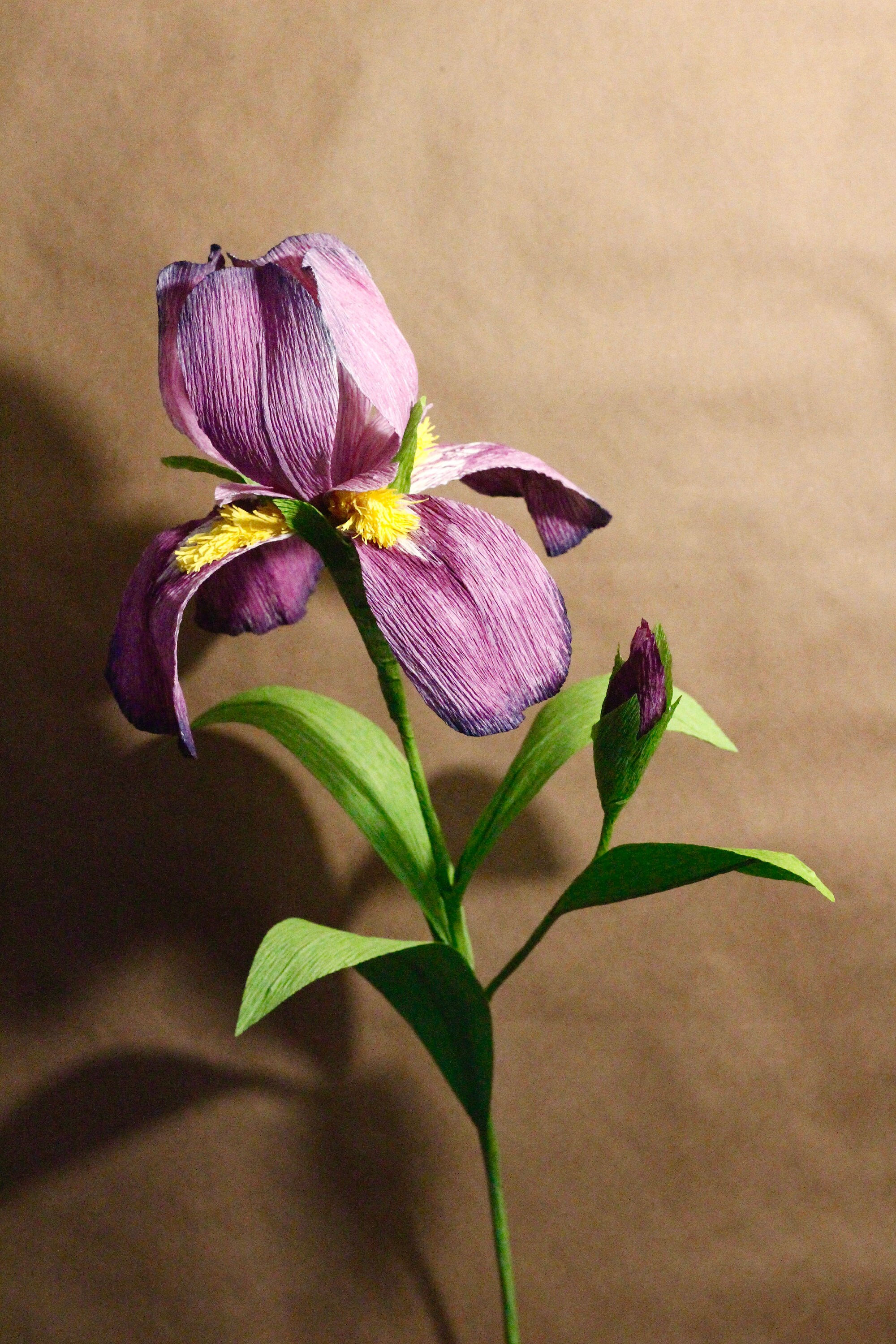 Paper Iris - Etsy