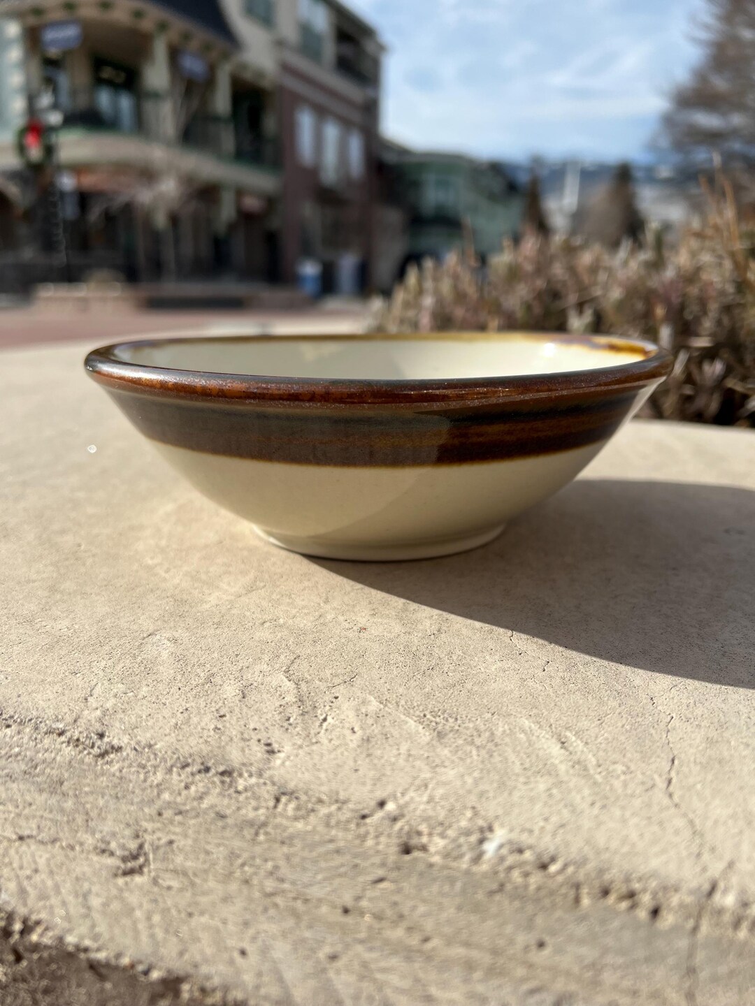 Vintage Decorated Bowl From Northern Nevada Collection by Washington ...
