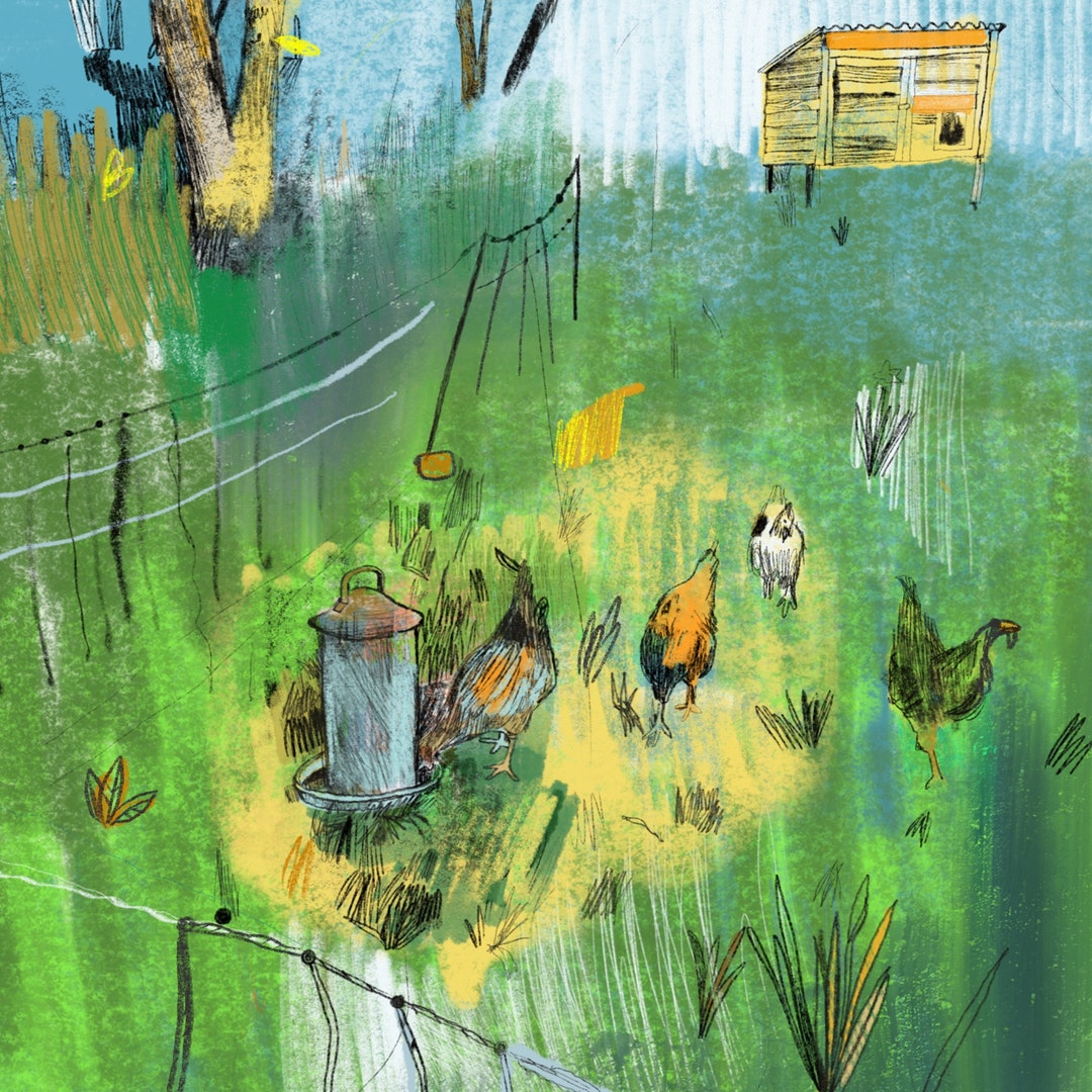 Potager Garden, Limited Edition Giclee Print of Constantine, Cornwall ...