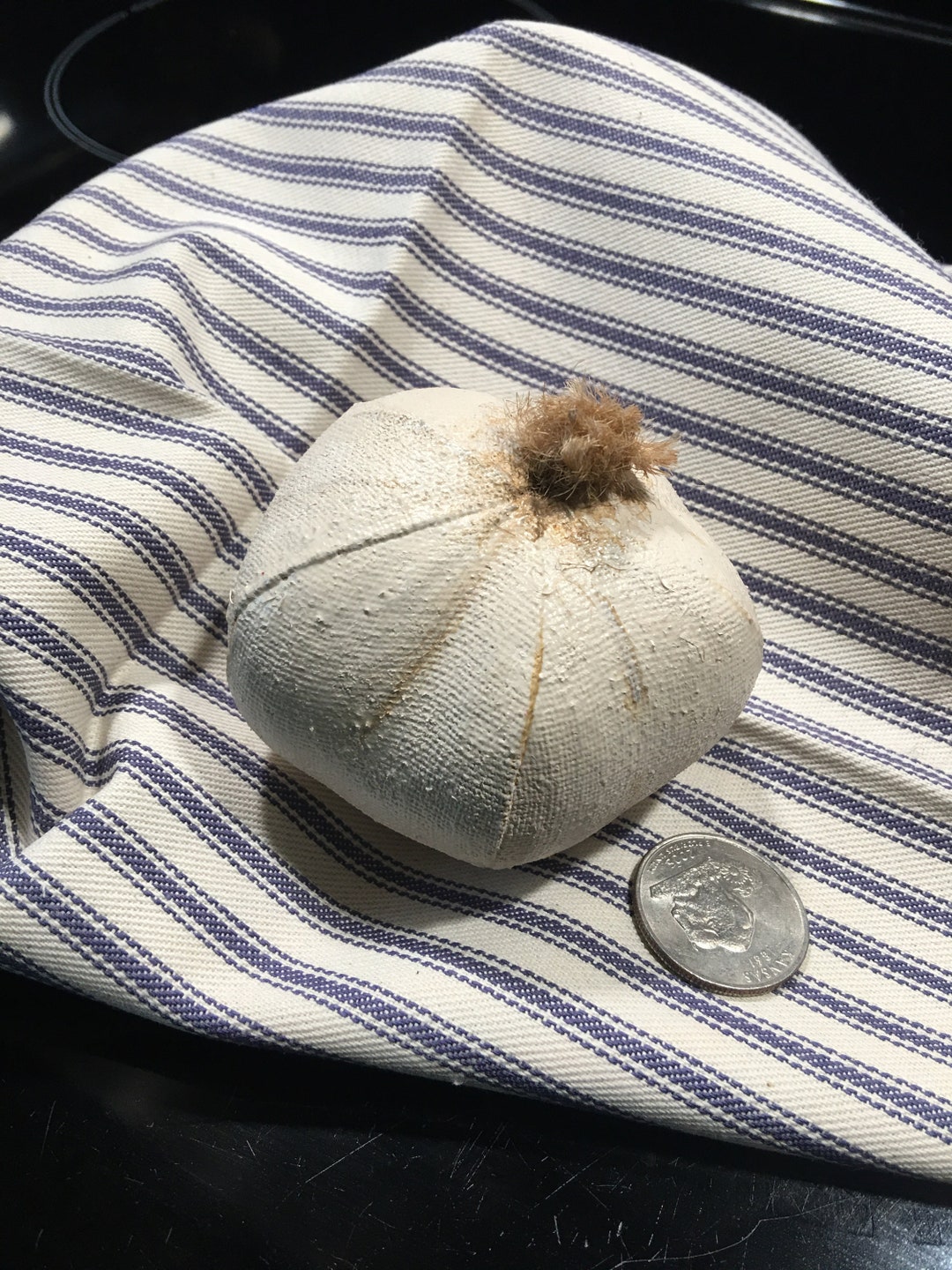 Garlic Handmade Garlic Fake Garlic Pretend Garlic Garlic Clove Fabric ...