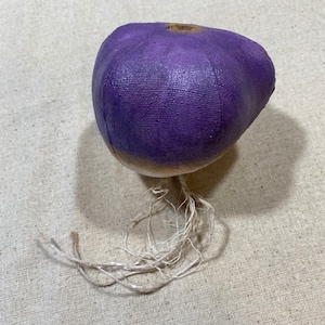 Turnips Fake Fabric Turnips Fake Turnip Fake Vegetables Vegetable Food ...