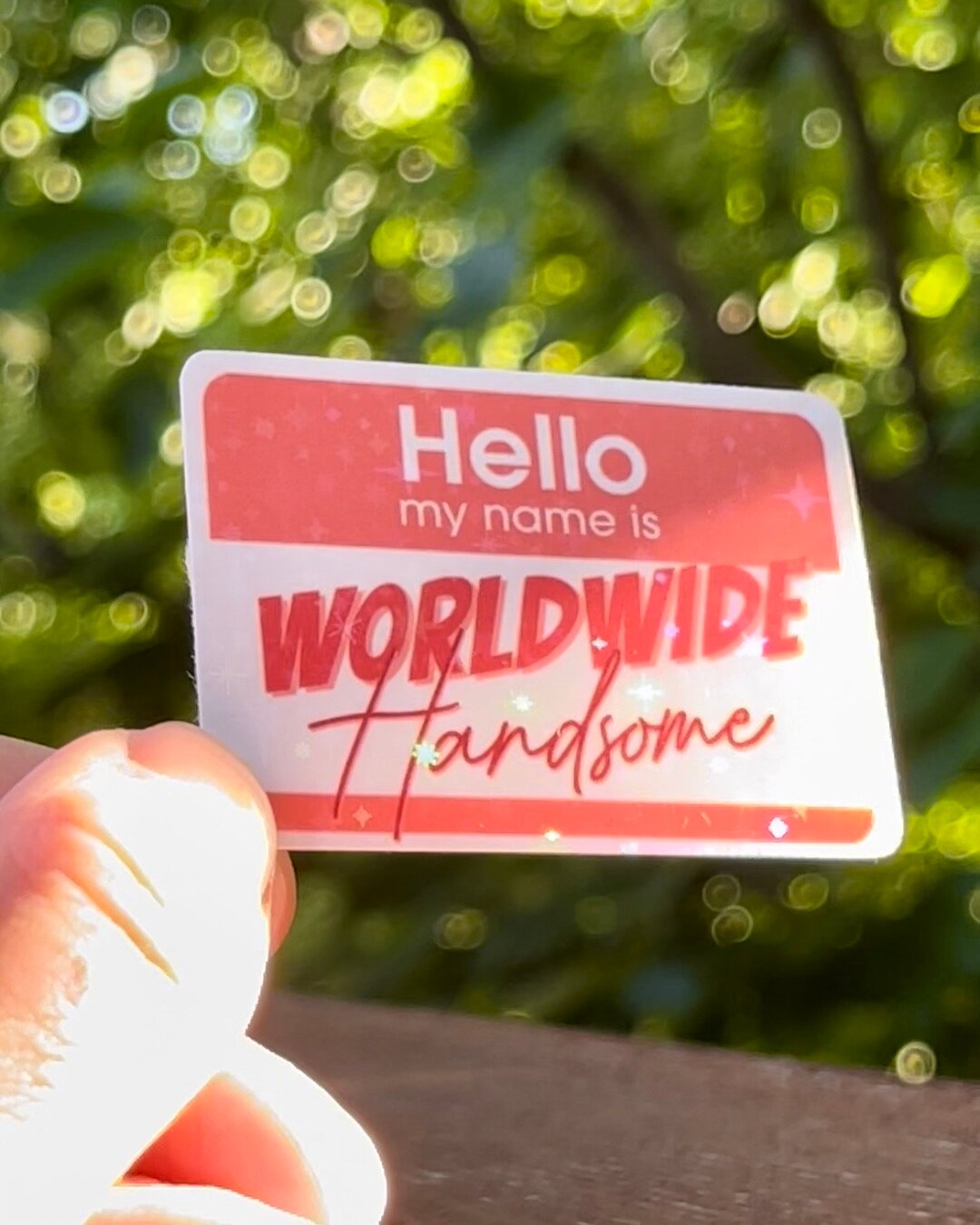Worldwide Handsome Sticker - Etsy