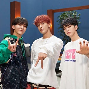 BSS Booseoksoon Hand Signs Sticker - Etsy