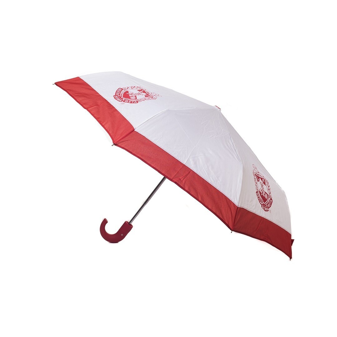 Mini Hurricane Delta Sigma Theta Umbrella - Etsy