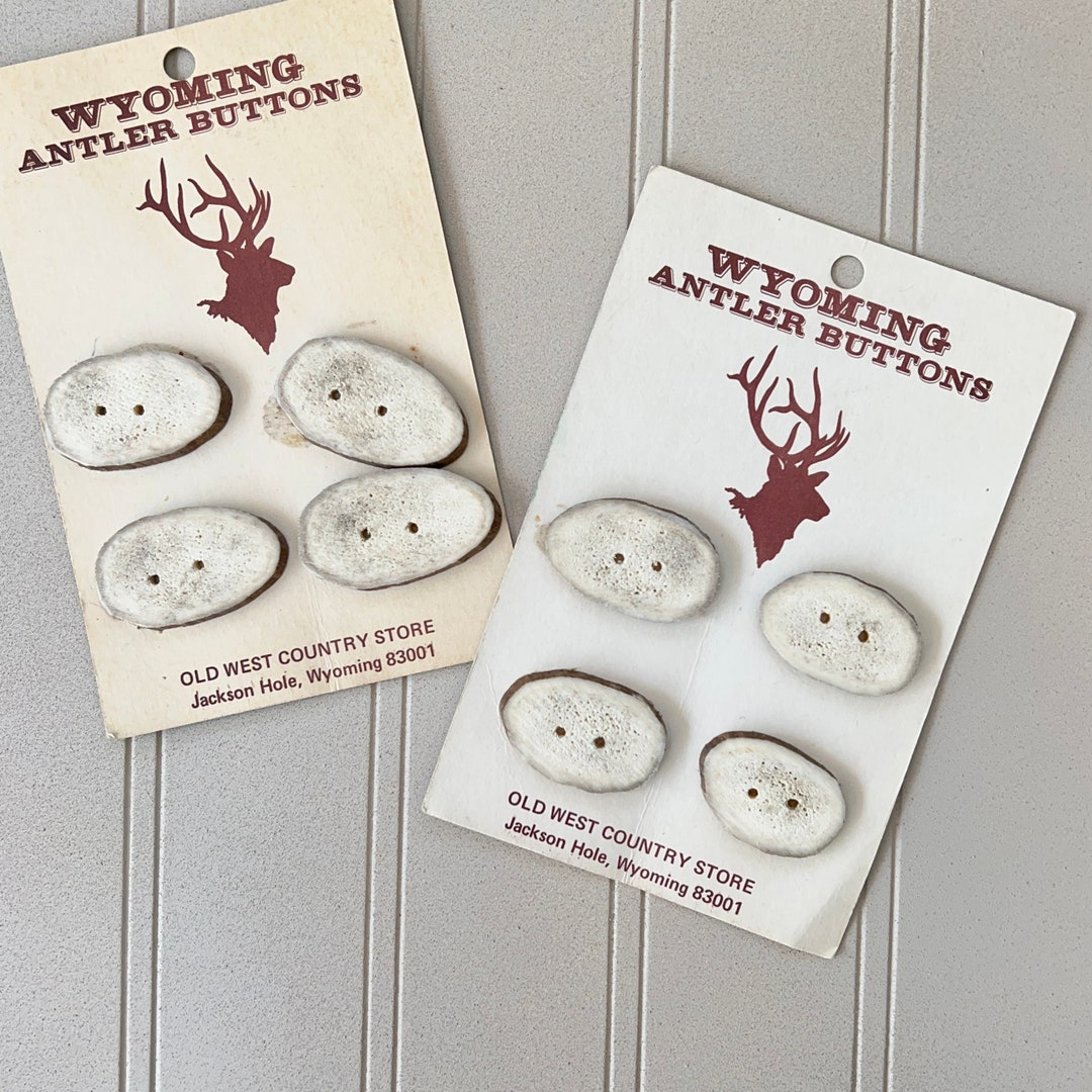 Vtg WYOMING ANTLER BUTTONS 2 Original Cards, 8 Buttons Total From Old ...