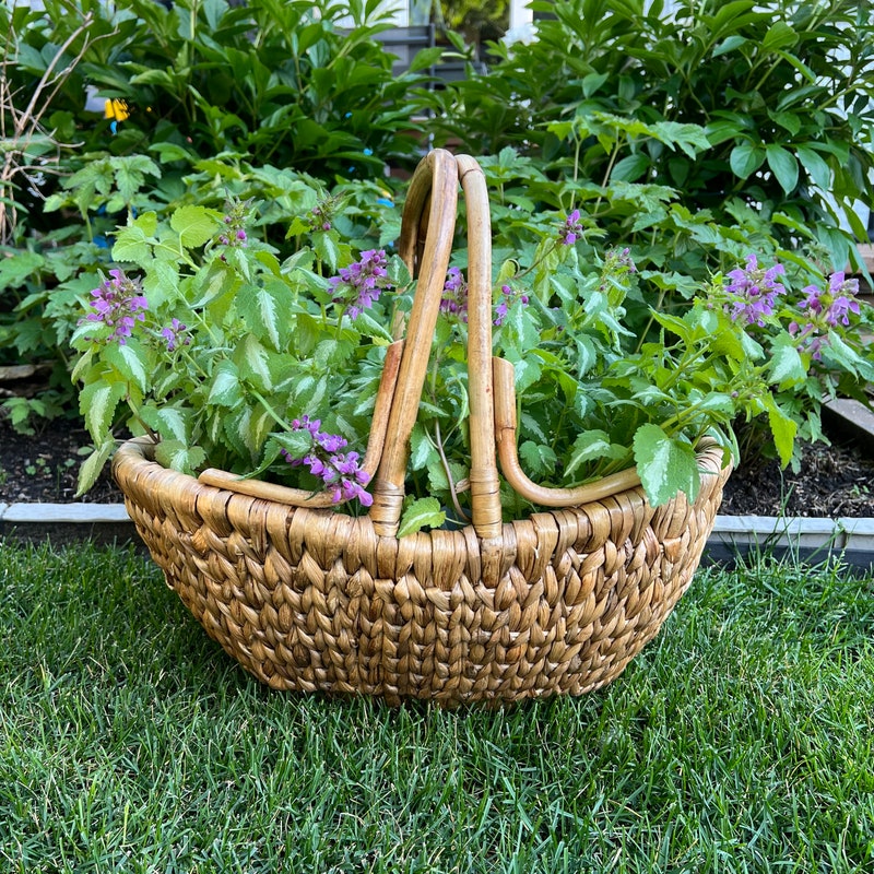 Basket With Handle - Etsy