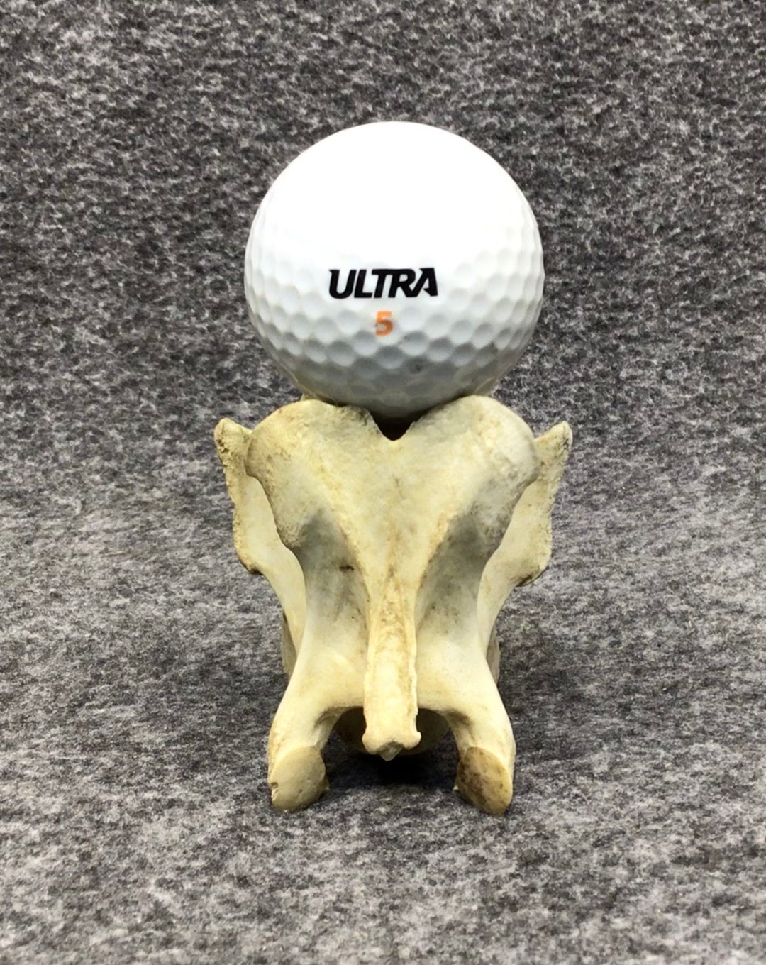 Golf Ball Stand/display/holder/whitetail Vertebrae - Etsy