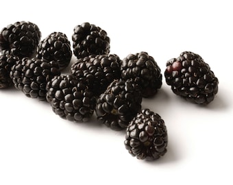 Black Raspberry Seeds | Etsy