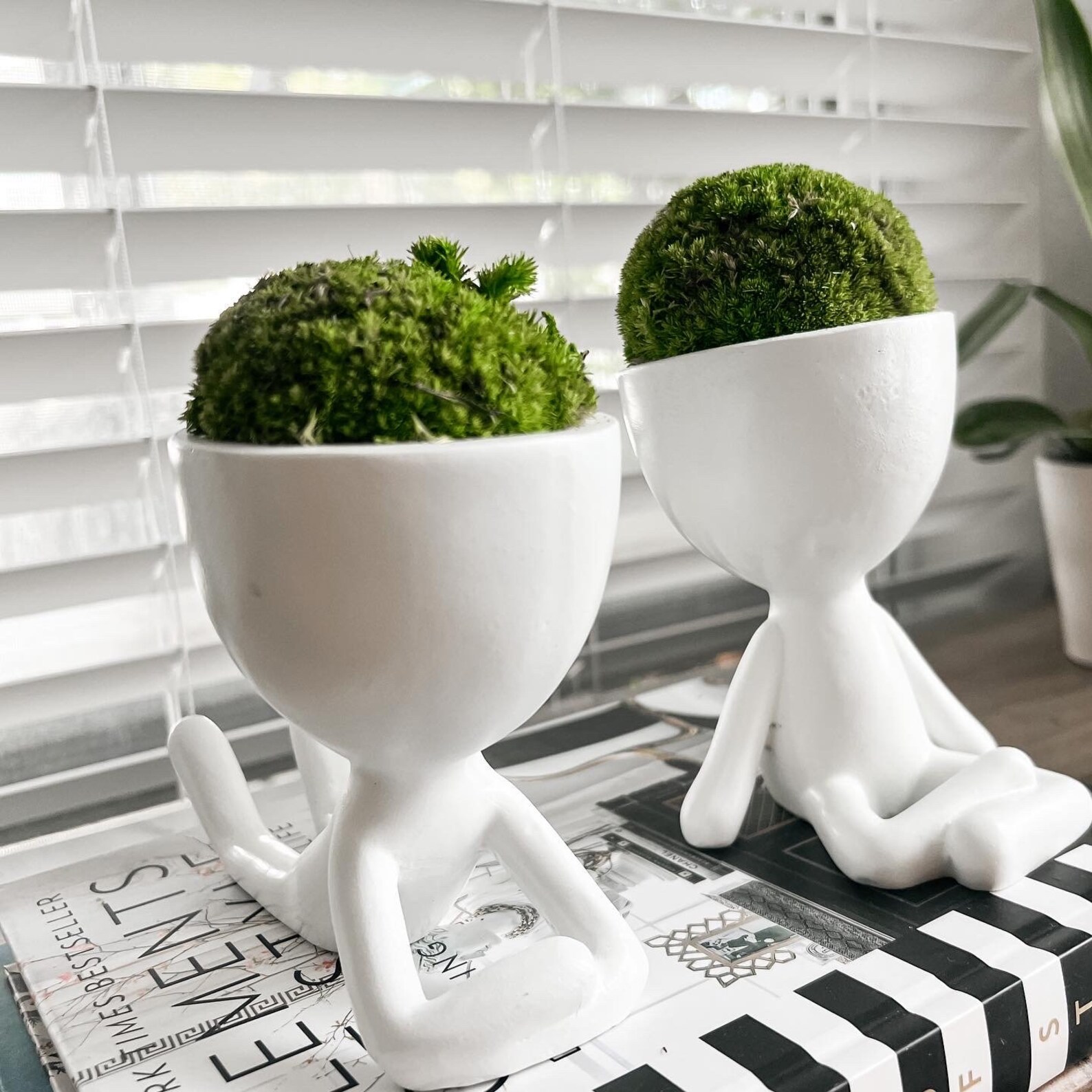 Planter Head Face Planter Human Body, Live Tillandsia, Air Plant Holder ...