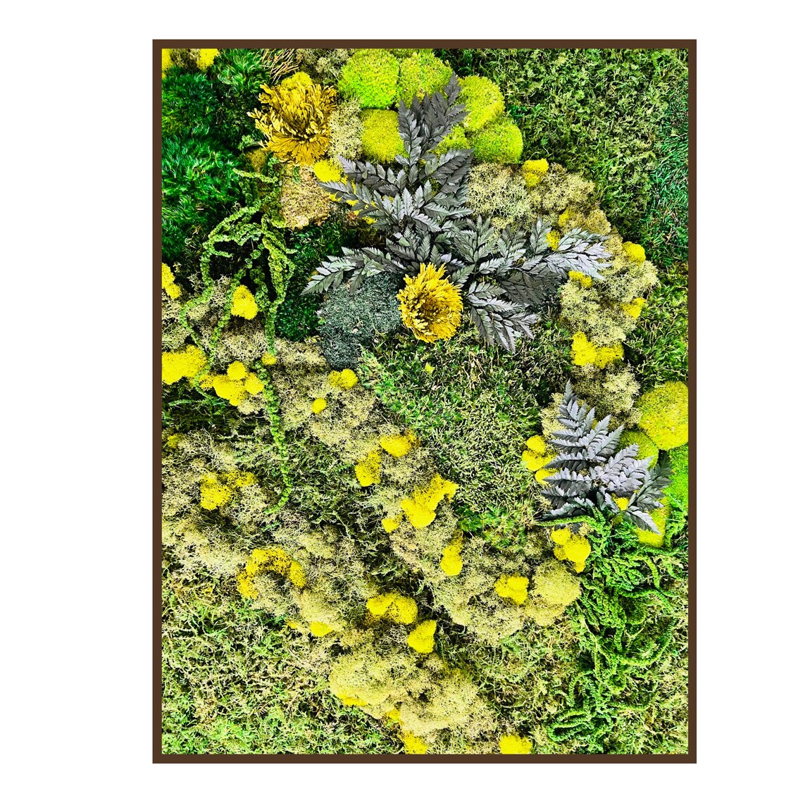 Moss Wall Art, Living Wall, Preserved Moss, Hanging Vertical Garden ...