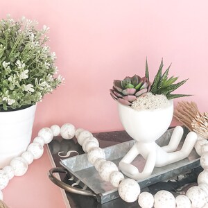 Planter Head Face Planter Human Body, Live Tillandsia, Air Plant Holder ...