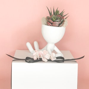 Planter Head Face Planter Human Body, Live Tillandsia, Air Plant Holder ...