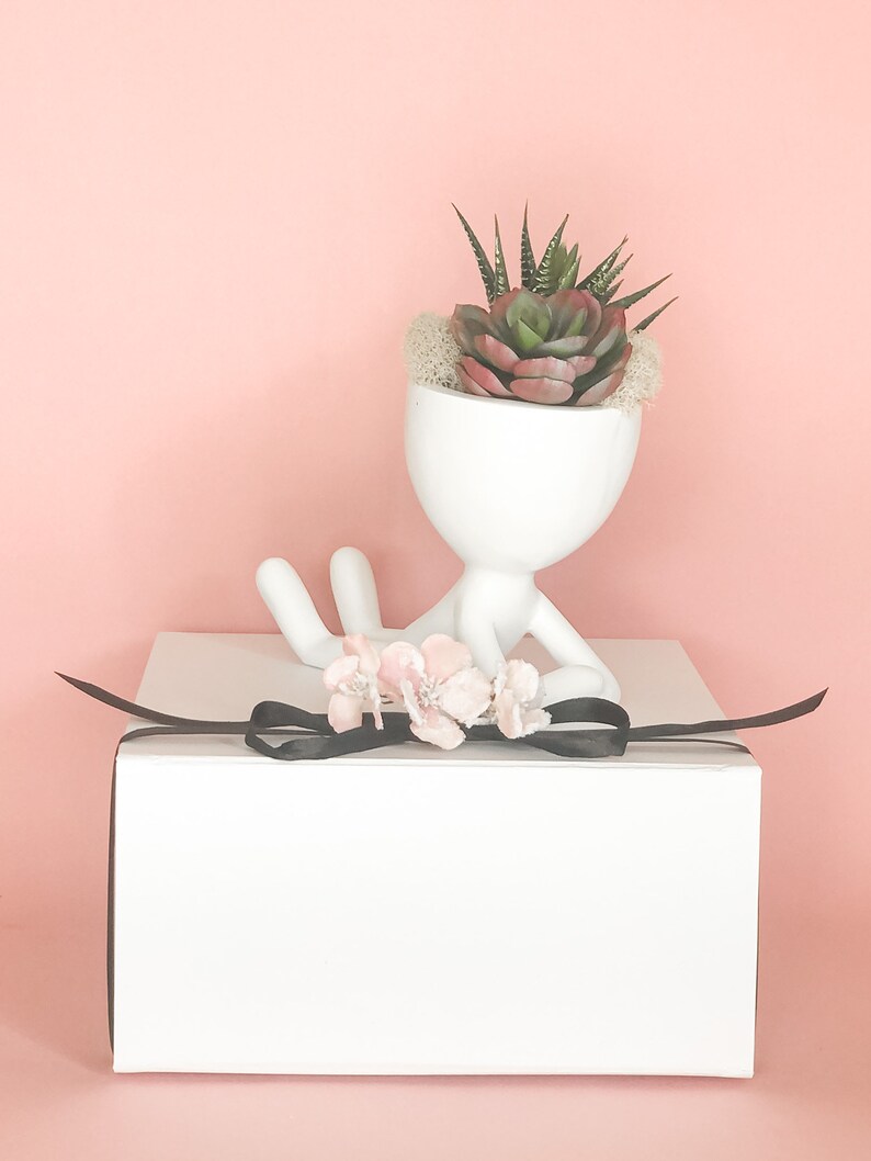 Planter Head Face Planter Human Body, Live Tillandsia, Air Plant Holder ...