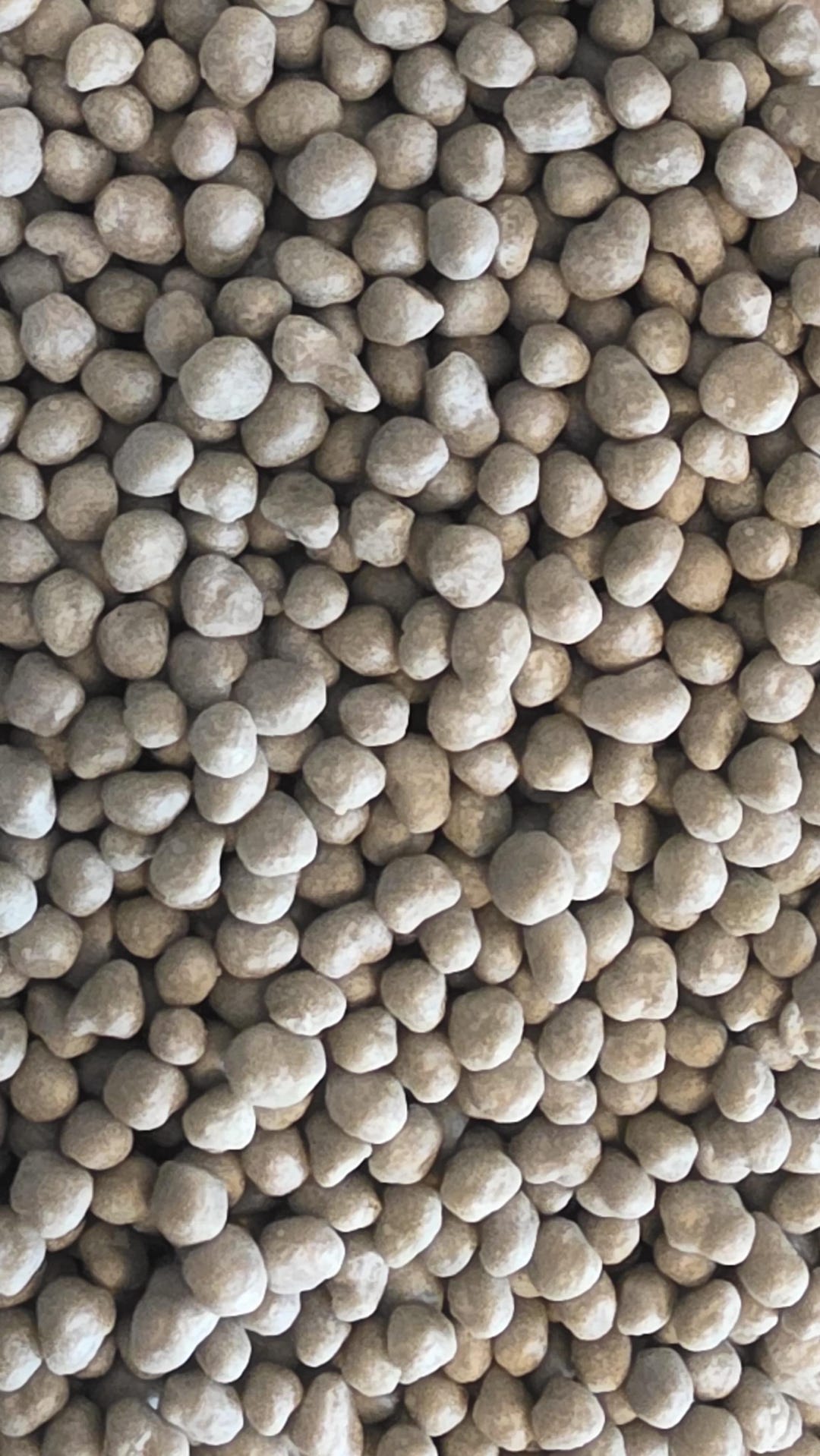 Balanced Granular Fertilizer 18-6-8 – 2 Oz Trial Size | Sample ...