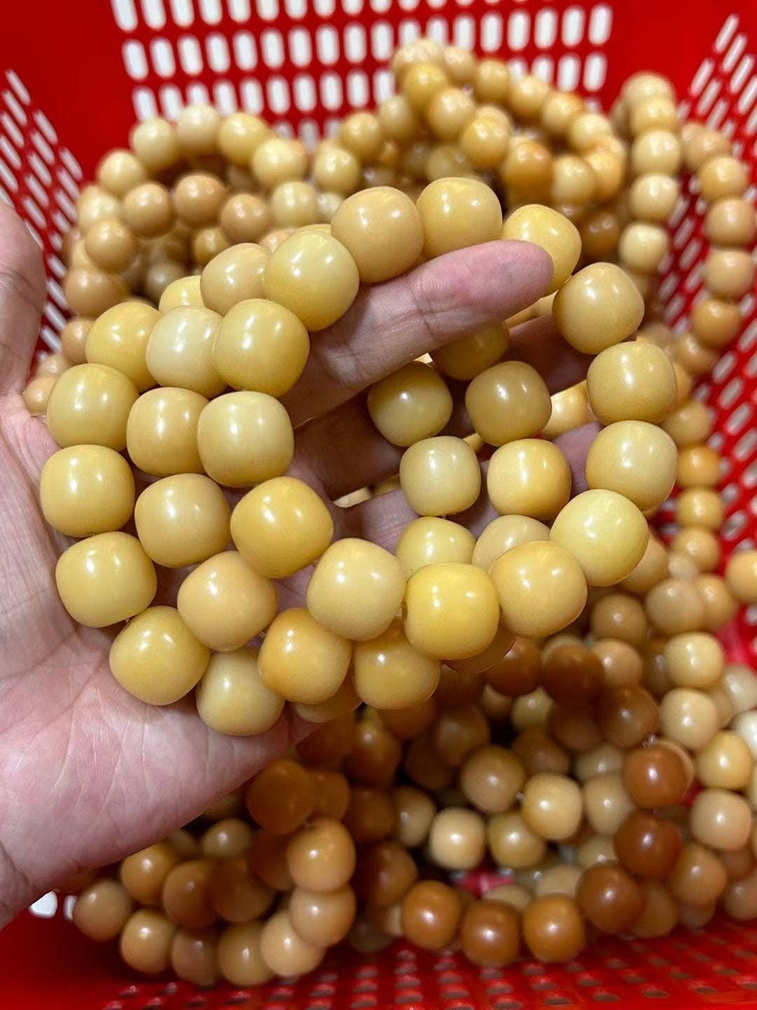 Natural Bodhi Root Beads: Yellow Barrel Beads for Mala Prayer (16mm) - Etsy