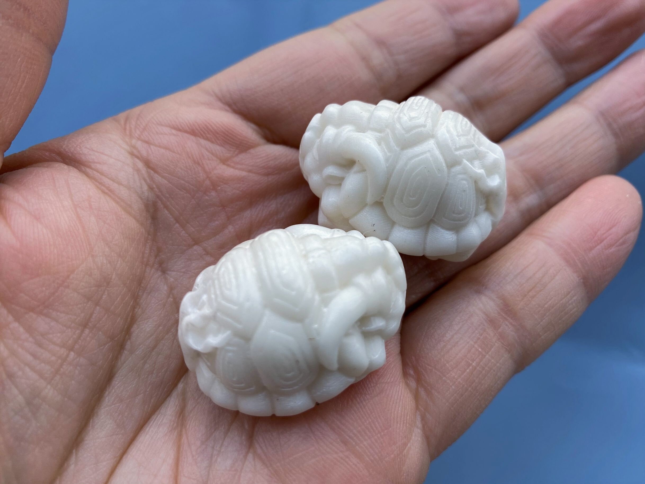 2 PCS Natural Corozo Nuts Double Sides Engraved Turtle | Etsy