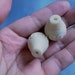 2 PCS or 4 PCS Natural Corozo Nuts Engraved Great Wall Lines 3 Holes ...