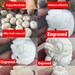 2 PCS or 4 PCS Natural Corozo Nuts Engraved Great Wall Lines 3 Holes ...