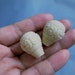 2 PCS or 4 PCS Natural Corozo Nuts Engraved Great Wall Lines 3 Holes ...
