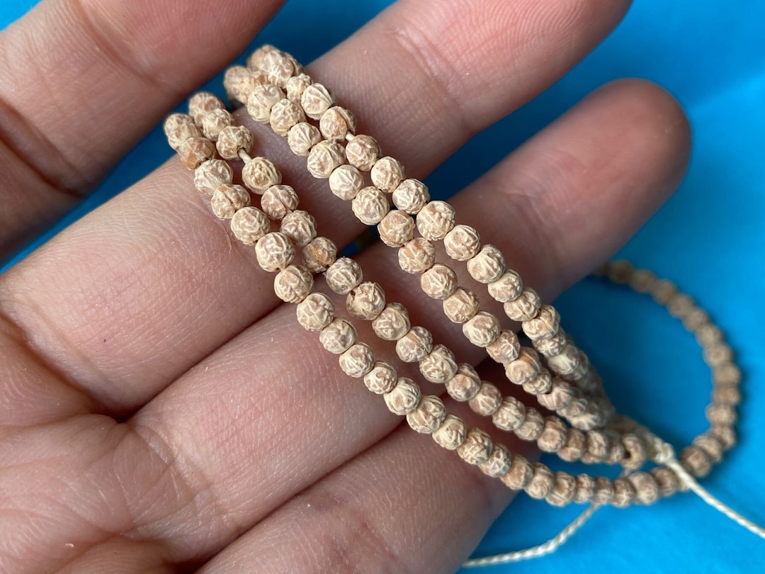 Natural Rudraksha Bodhi Beads: Mini 3mm Strand, DIY Jewelry Supplies - Etsy