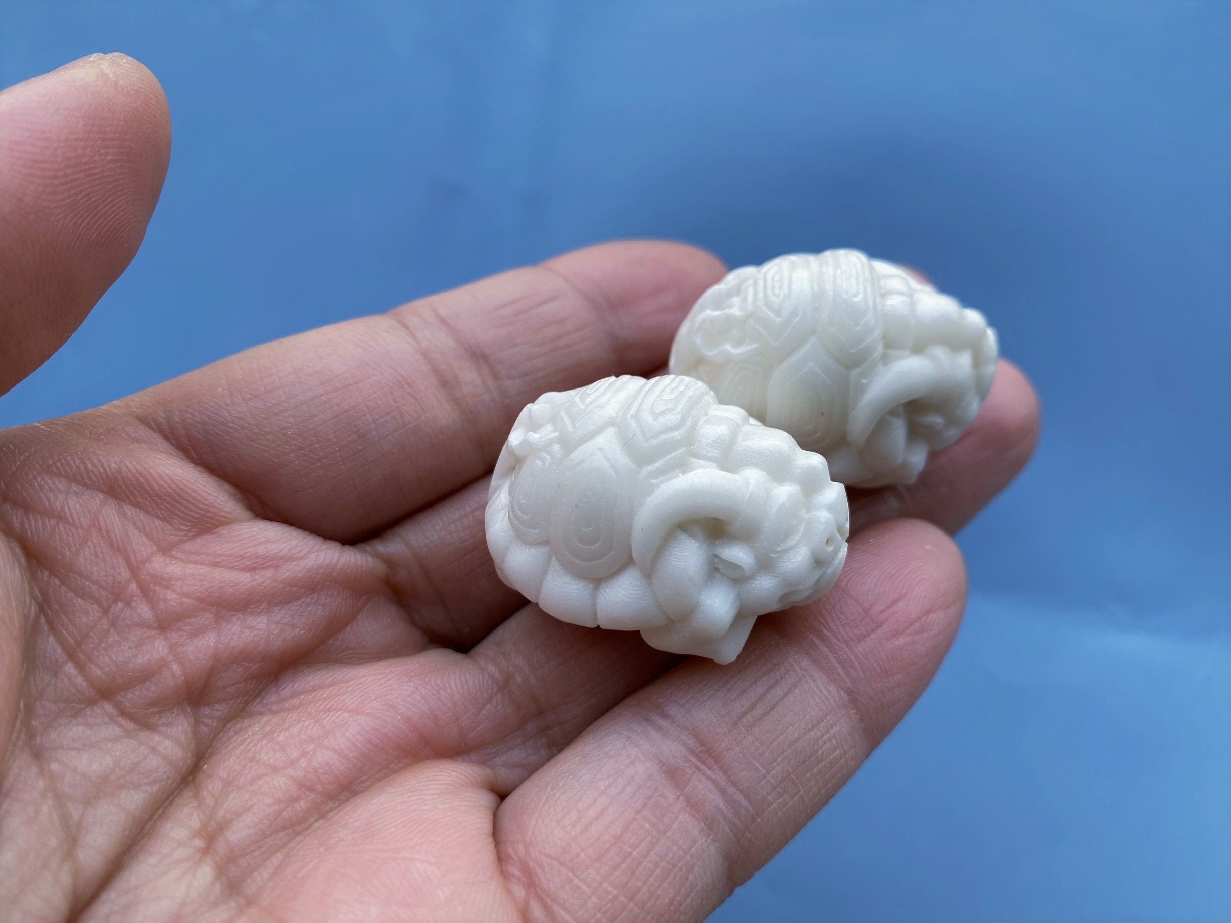 2 PCS Natural Corozo Nuts Double Sides Engraved Turtle | Etsy