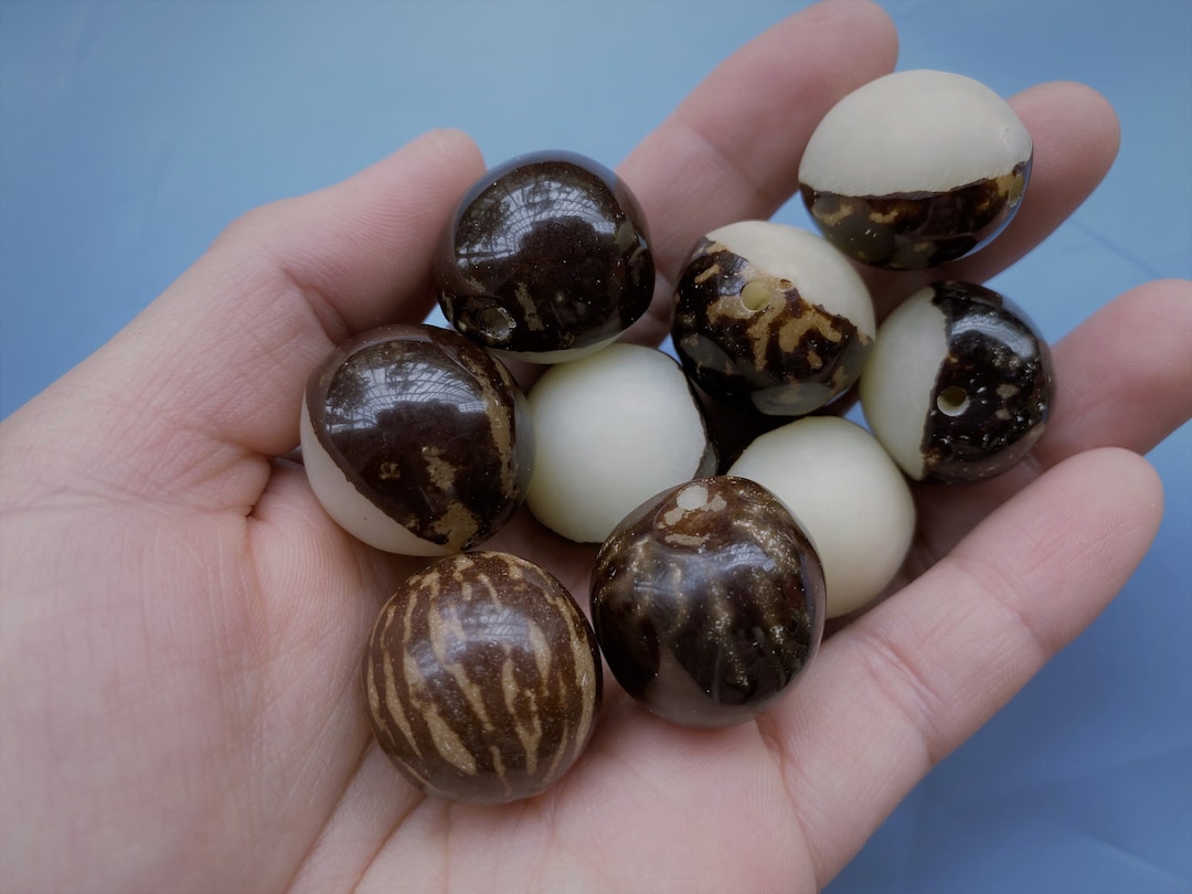Natural Bodhi Beads (20-24 Mm): Pipal Tree Seed, DIY Findings - Etsy