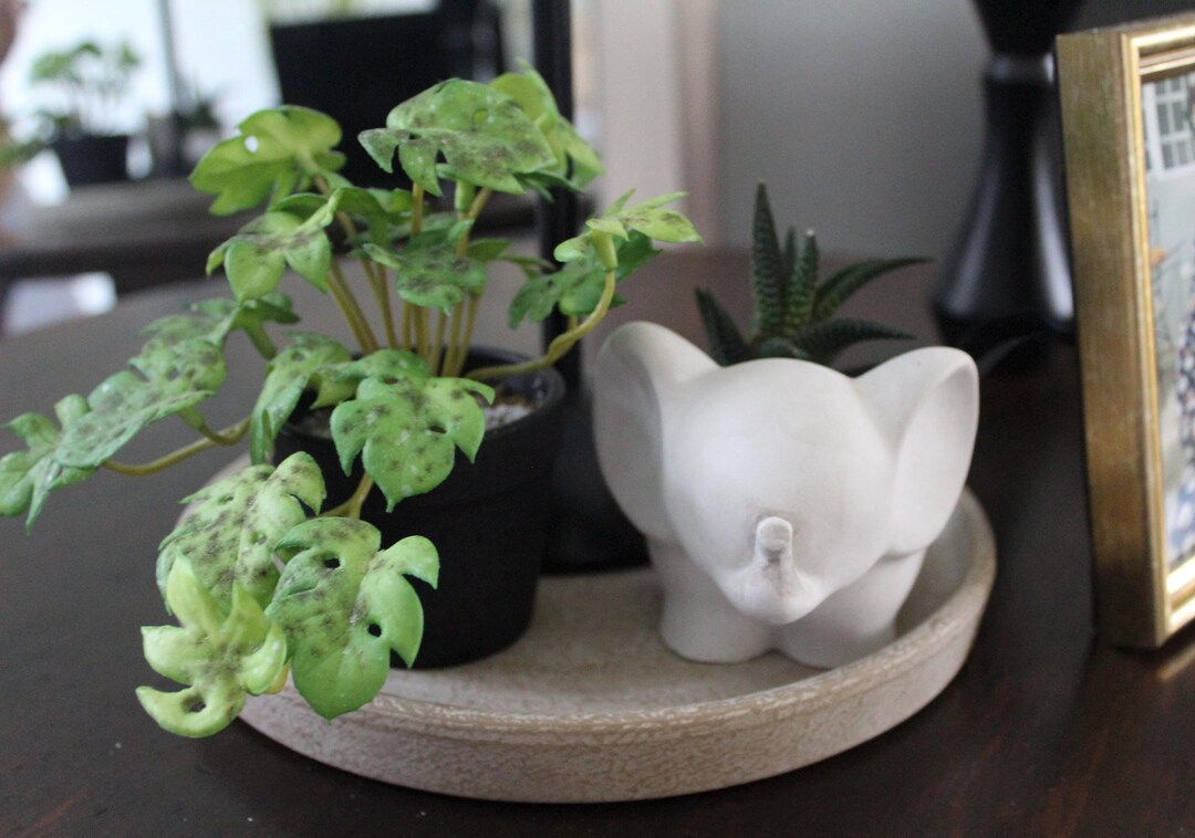 Elephant Flower Pot Shapes Flower Pot Planter Plaster Pot Gift Cute ...