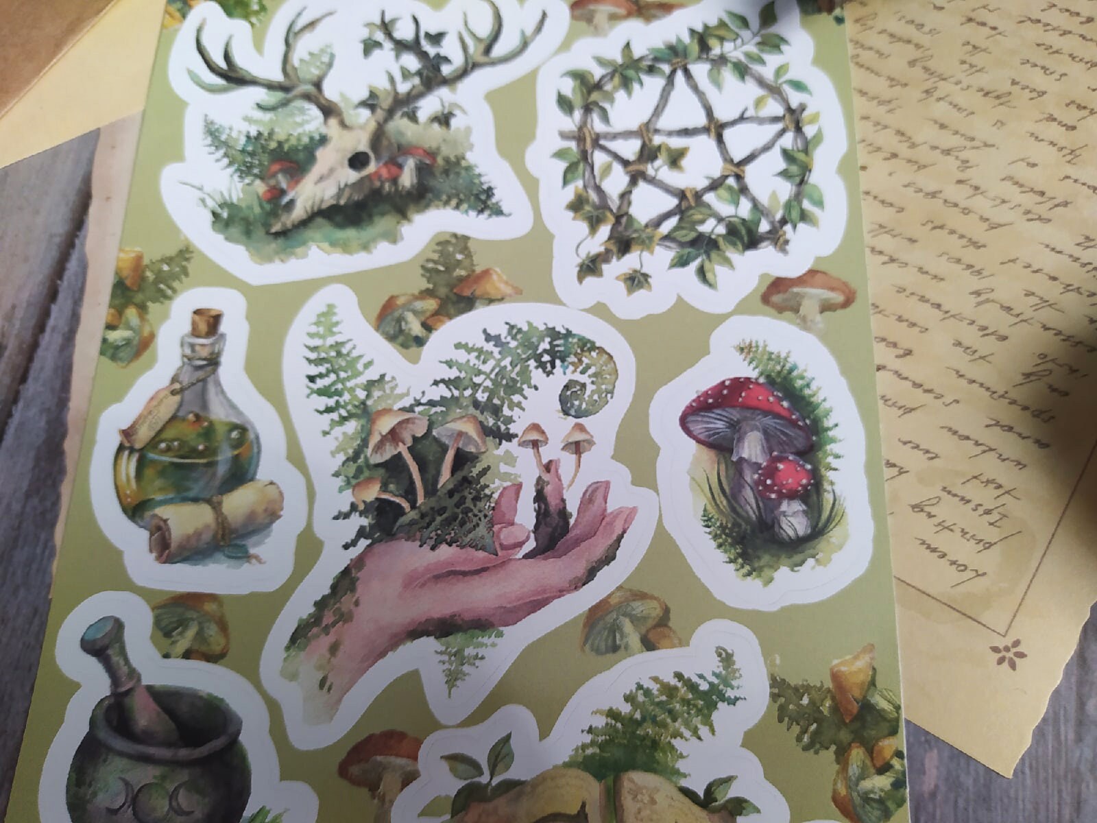 Green witch sticker set Nature witch stickers A5 Sticker | Etsy