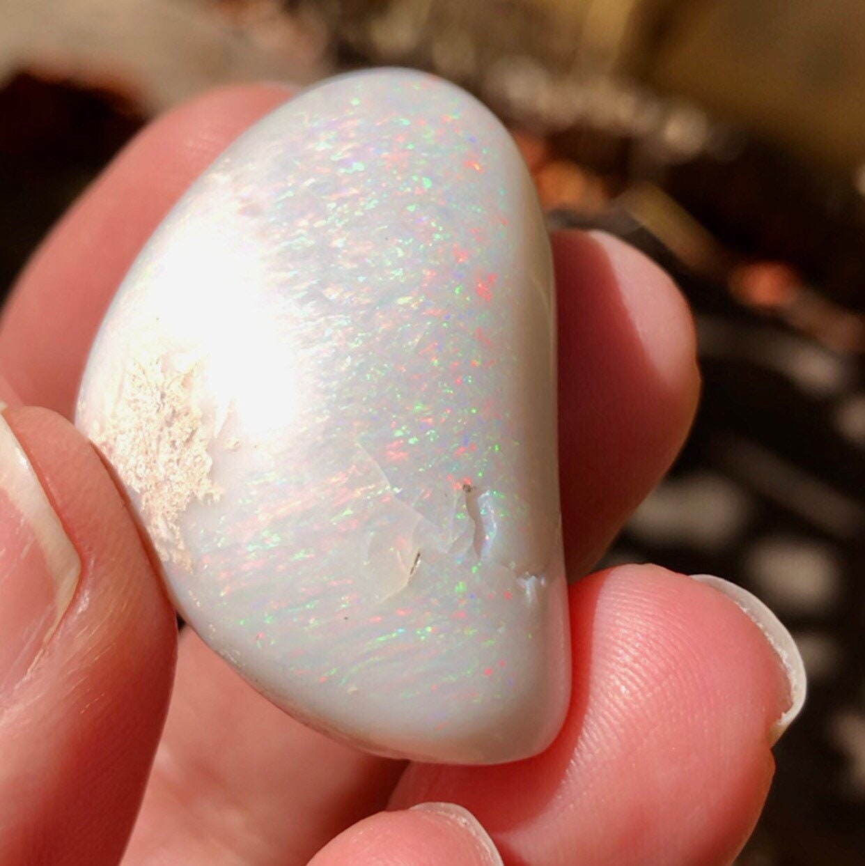 90.6cts Shell Fossil Opalised Shell Opal Specimen | Etsy