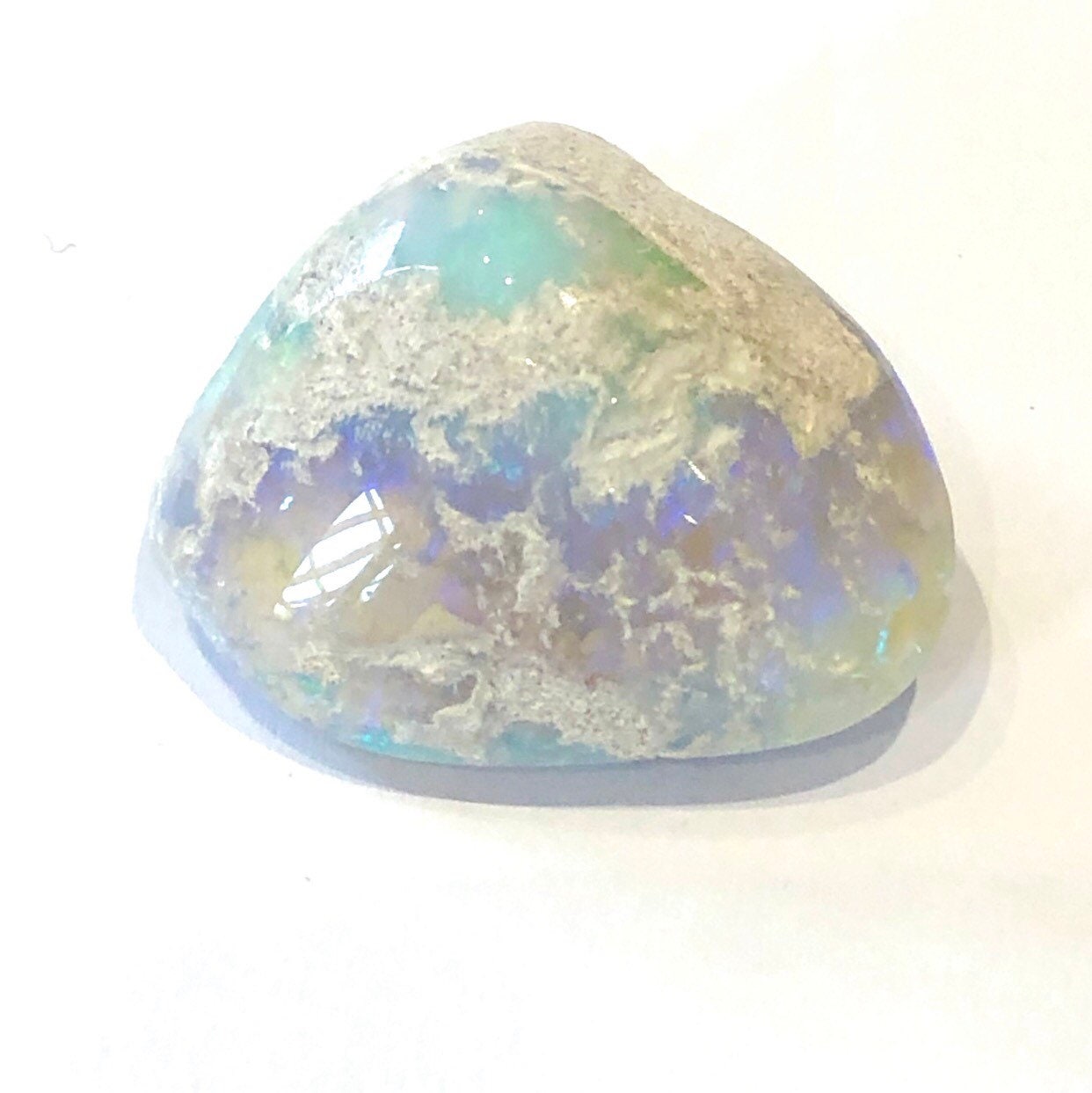 49ct Shell Fossil Opalised Shell Opal Specimen Australian | Etsy