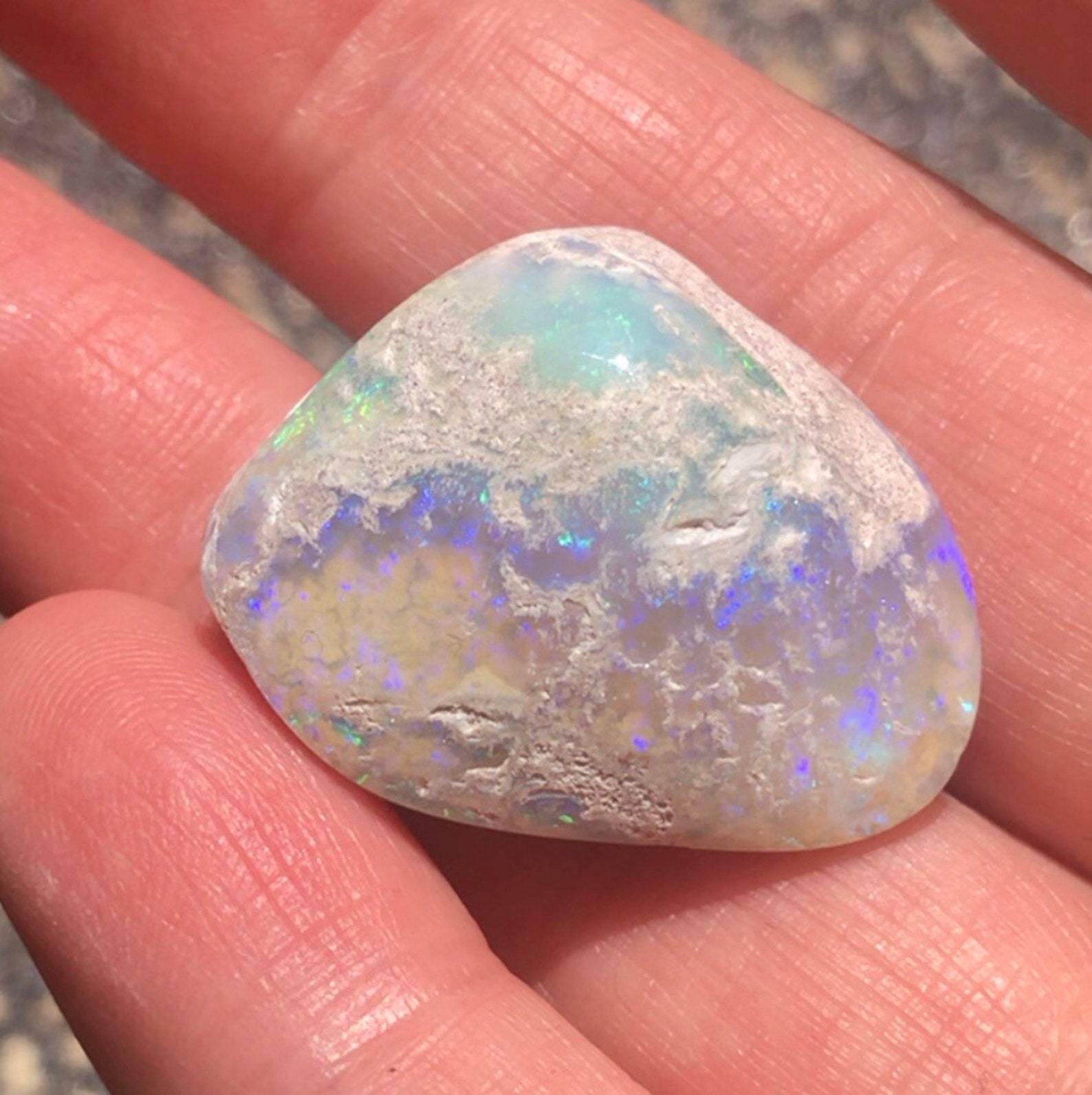 49ct Shell Fossil Opalised Shell Opal Specimen Australian | Etsy